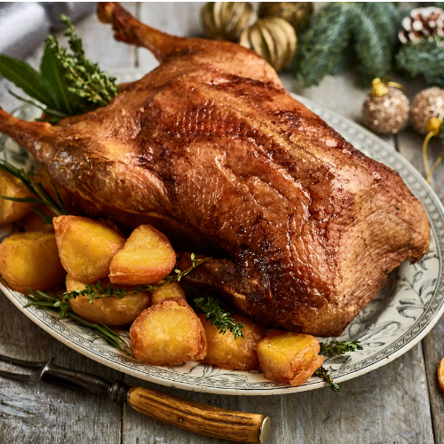 Browse Our Products | Stratton Hall